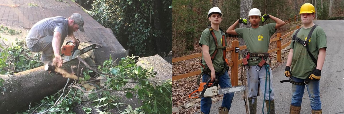 Campbell's Tree Service Offers Tree Services in Dunlap, TN 37327