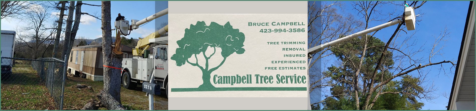 Campbell's Tree Service Offers Tree Services in Dunlap, TN 37327
