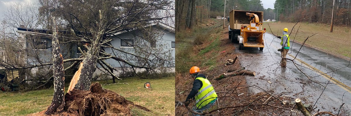 Campbell's Tree Service Offers Tree Services in Dunlap, TN 37327